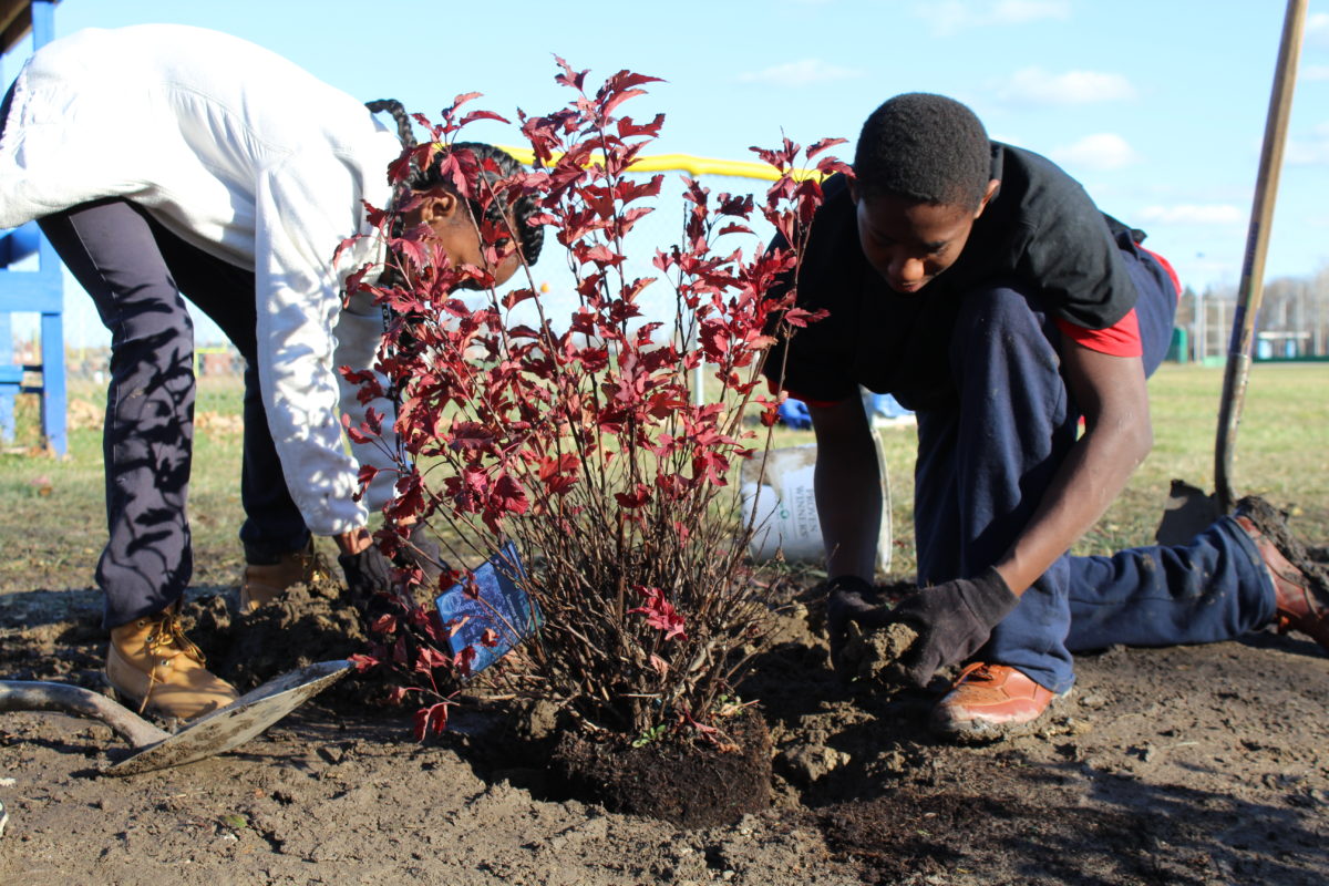 Volunteers’ goal: A cleaner, greener Detroit - Michigan Wildlife Council