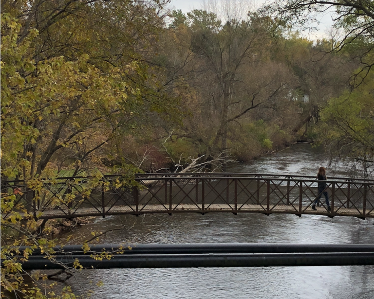 Protecting and maintaining Michigan's waters - Michigan Wildlife Council