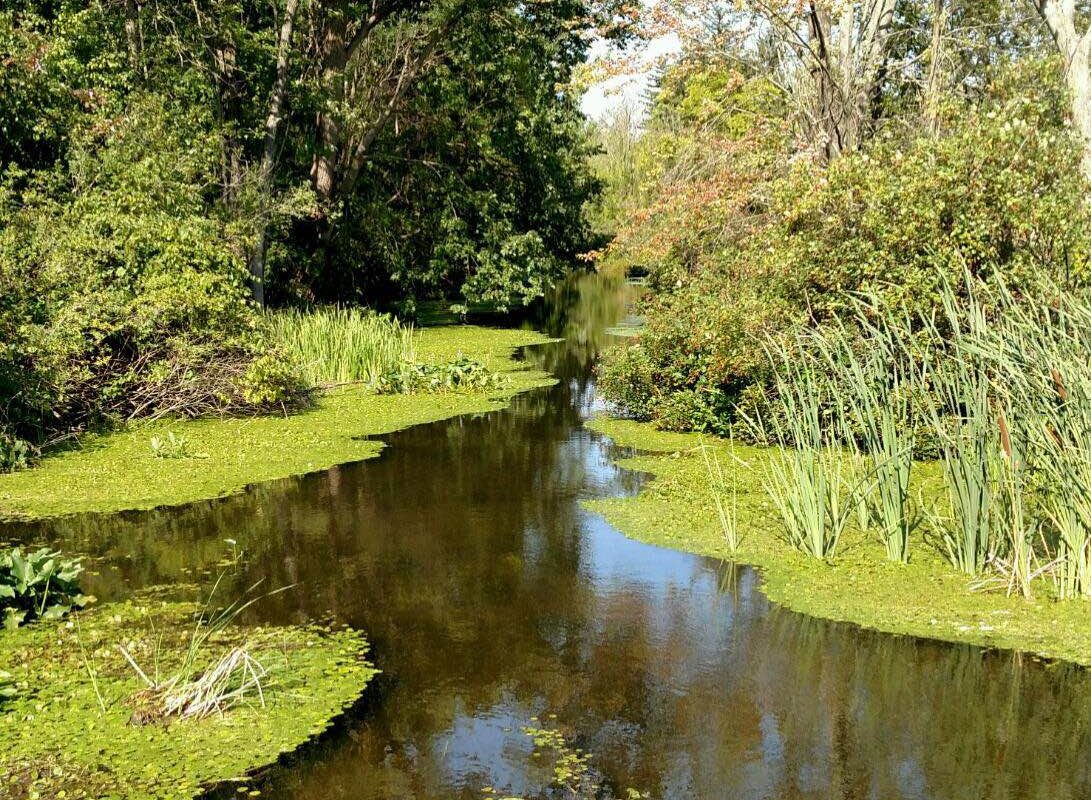 Home - Michigan Wildlife Council