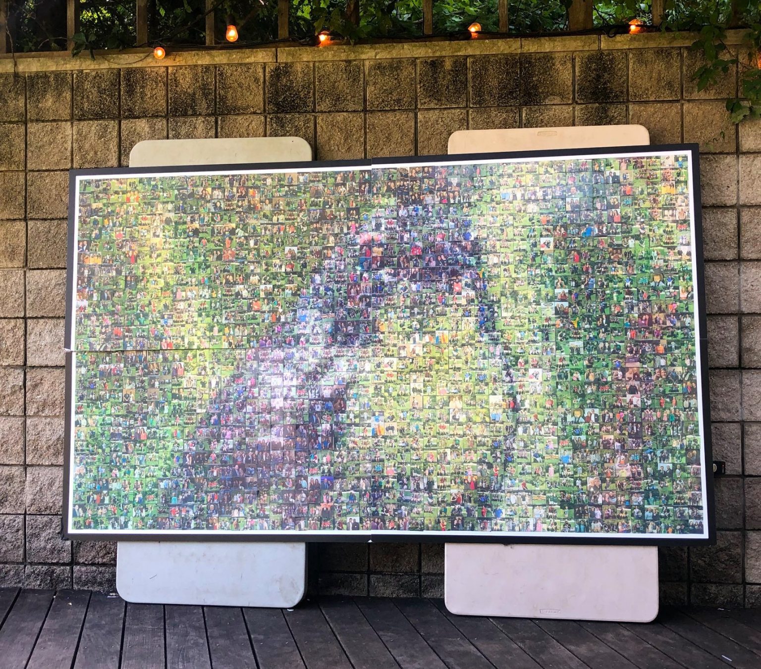 Wildlife Photo Mosaics celebrate Michigan’s conservation success ...