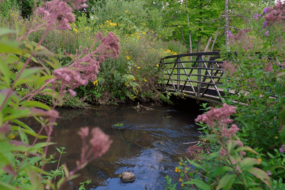 River Re-Born: The Revitalization of Portage Creek at Milham Park ...