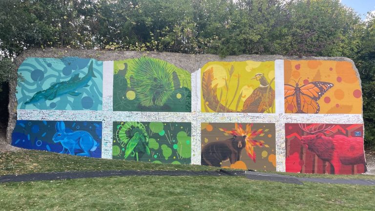 New Dequindre Cut wildlife mural carries conservation message ...